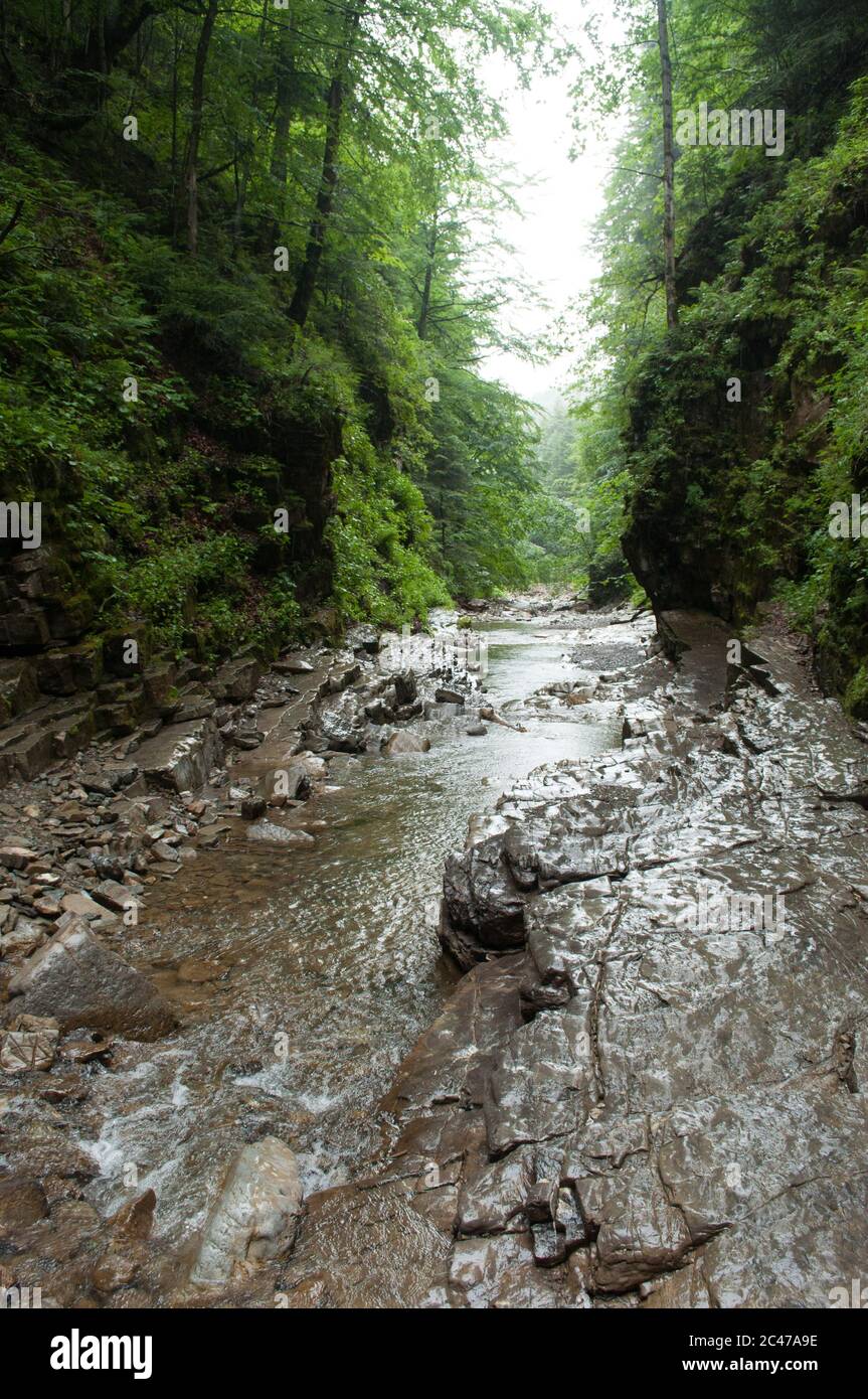 River rock rocks texture stream water background clear beautiful hi-res ...
