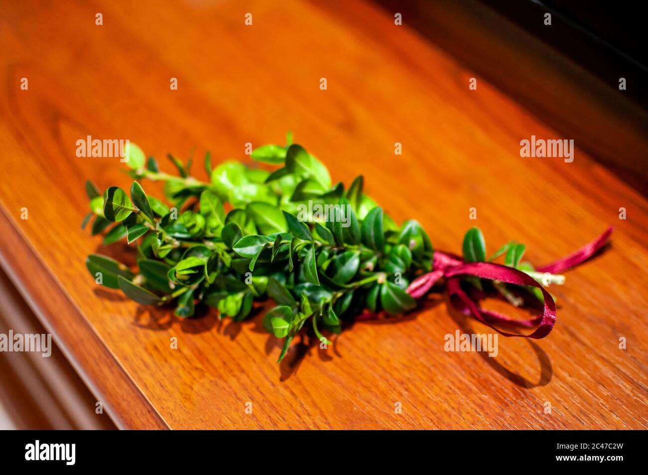 green myrtle lying on the table Stock Photo - Alamy