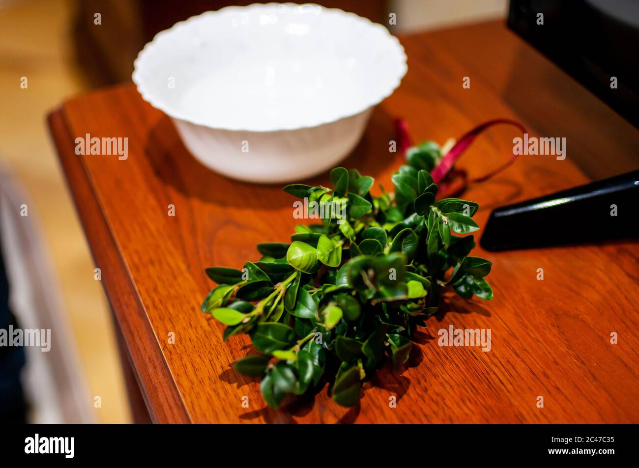 Myrtle tea plant hi-res stock photography and images - Alamy