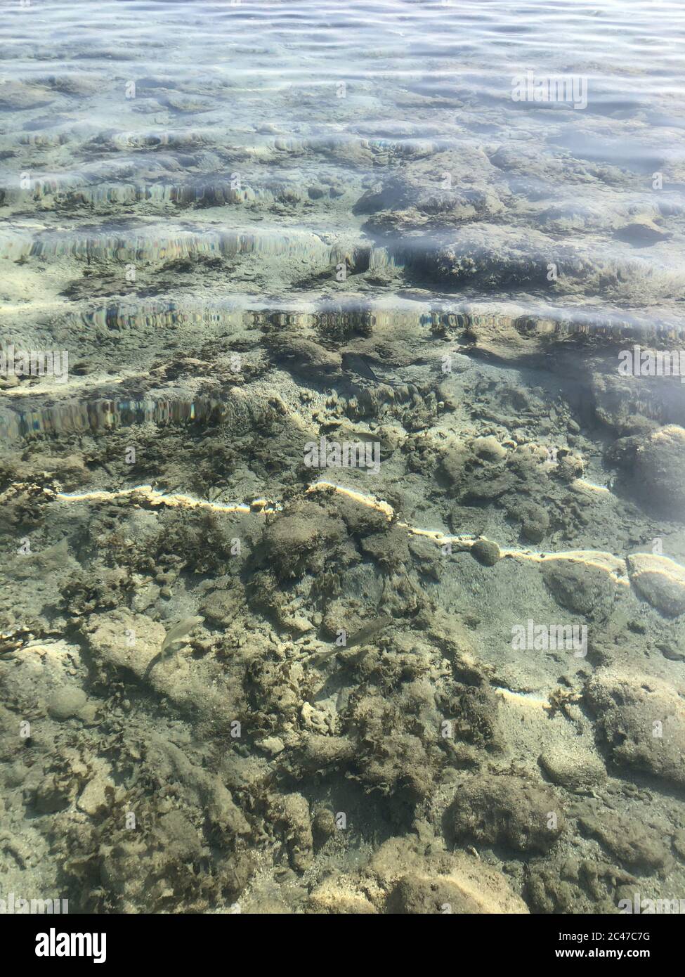 Tropical Little fishes on Sea bottom background Stock Photo - Alamy