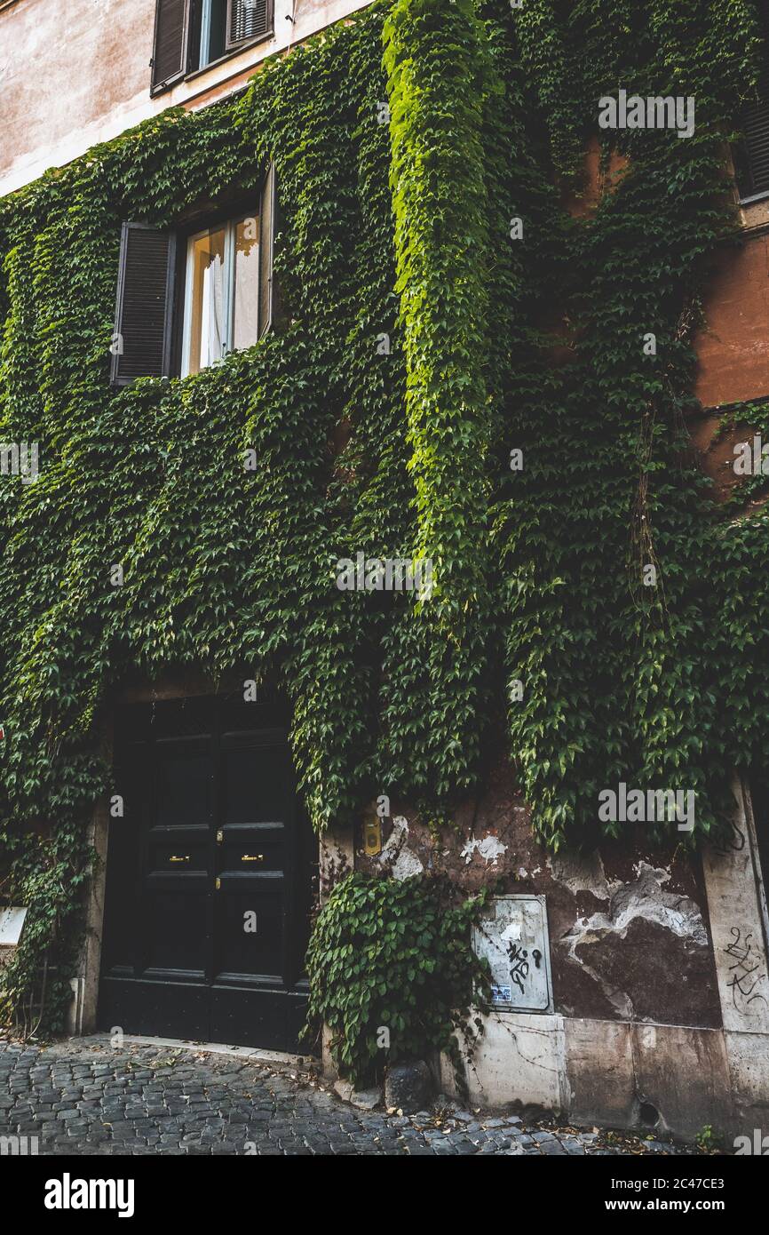 Vertical shot of a building covered in crawling plants under the ...