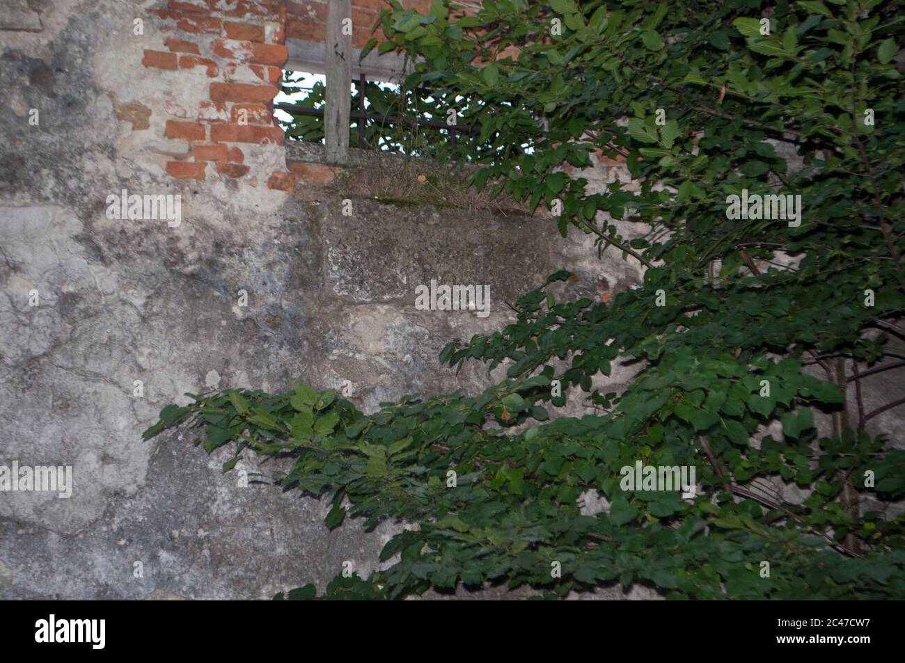 Boarded up church window hi-res stock photography and images - Alamy