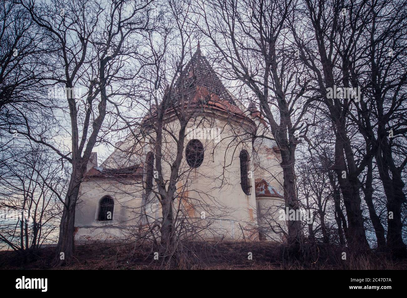 Inside the trees hi-res stock photography and images - Alamy