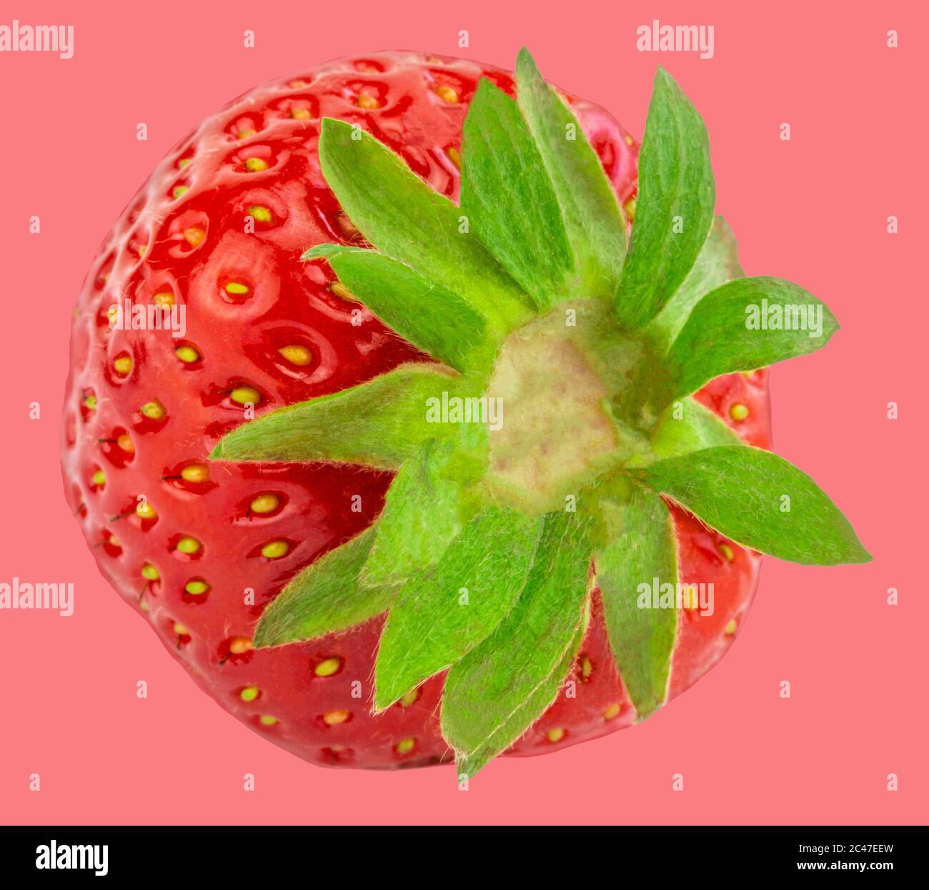 Strawberry isolated on pink background. Clipping Path Stock Photo - Alamy