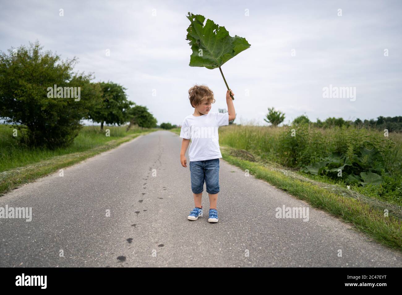 Little boy playing and walking on country road Stock Photo - Alamy