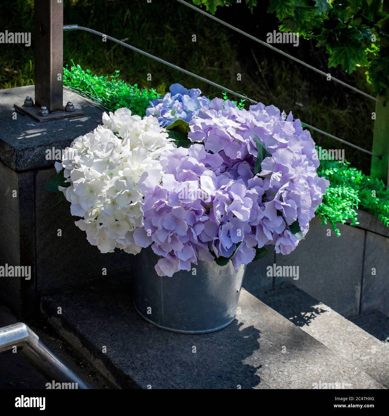 Artificial white and blue hydrangeas in aluminum buckets adorn the ...