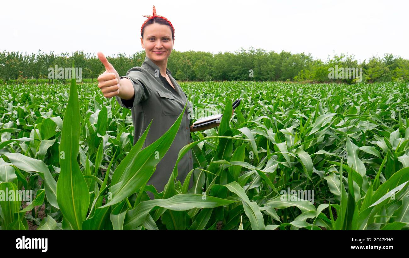 A smiling woman in a corn field gives a thumbs up. Good season for ...
