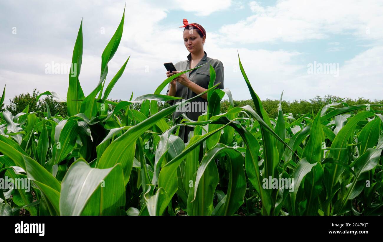 Female farmer uses mobile hi-res stock photography and images - Alamy
