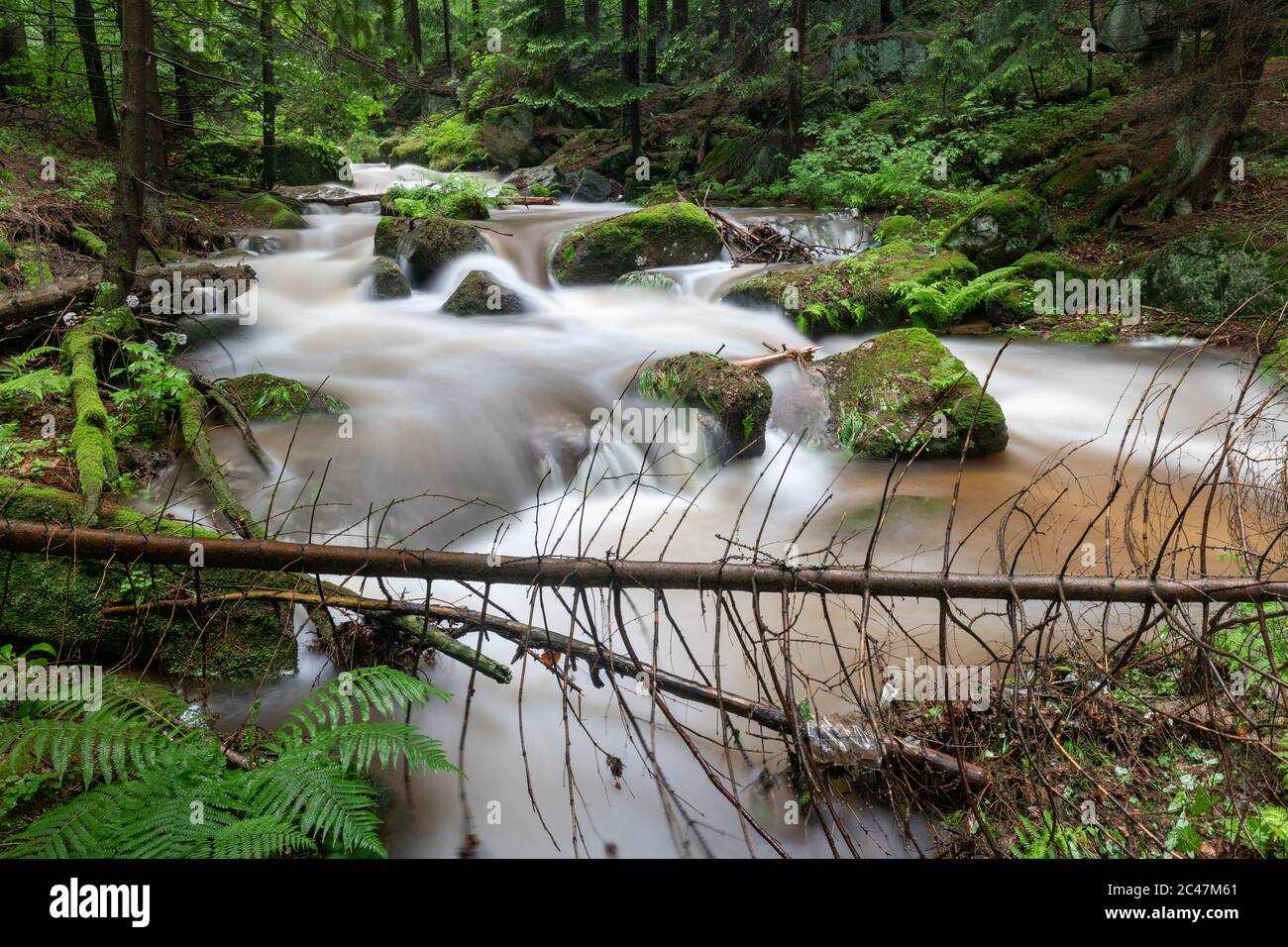 Mountain river flowing in a forest area. Watercourse in mountainous ...