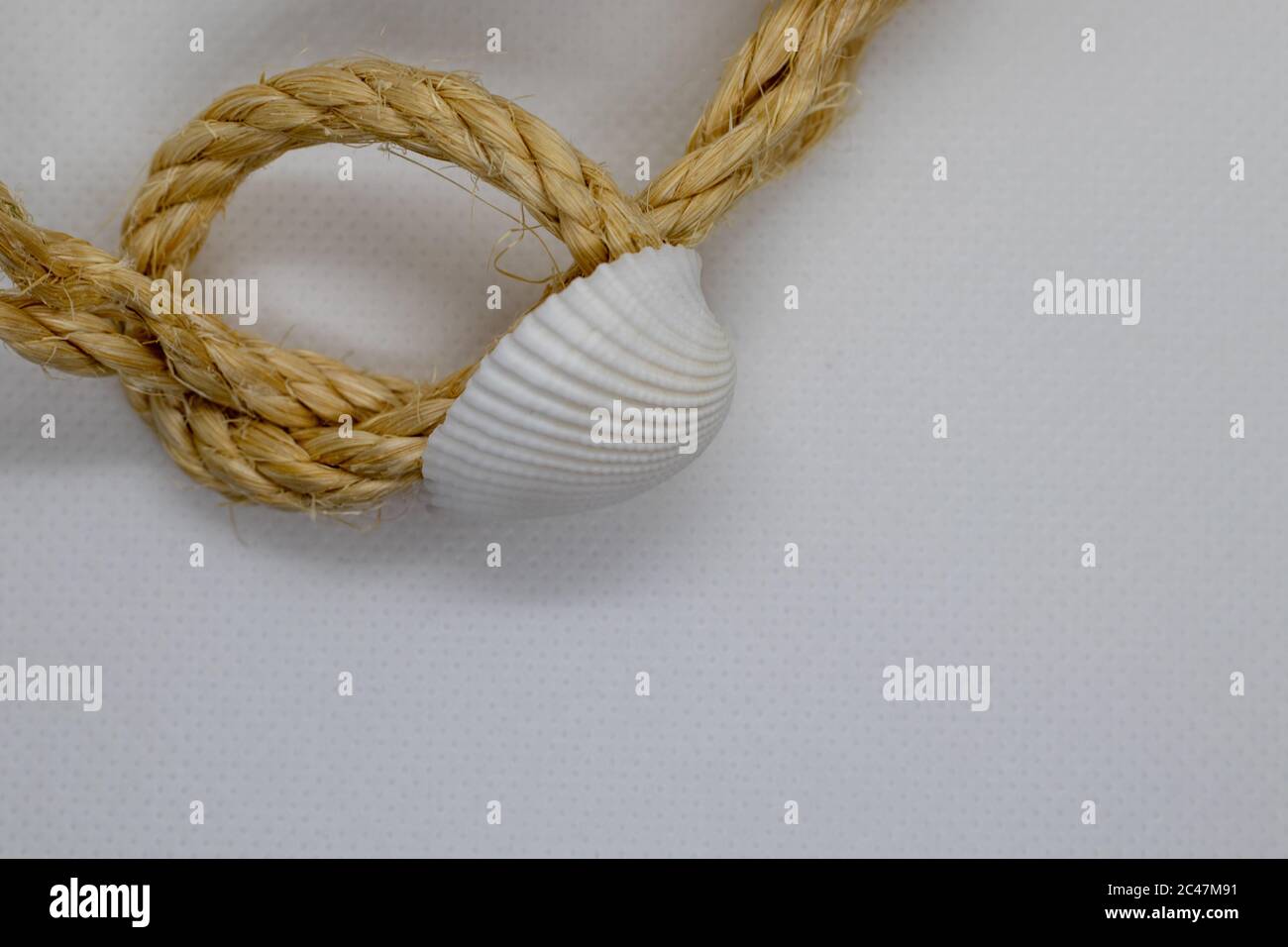 Seashell and ropes on a white background Stock Photo - Alamy