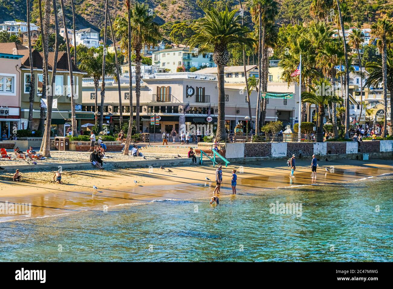 Avalon beach coastline hi-res stock photography and images - Alamy