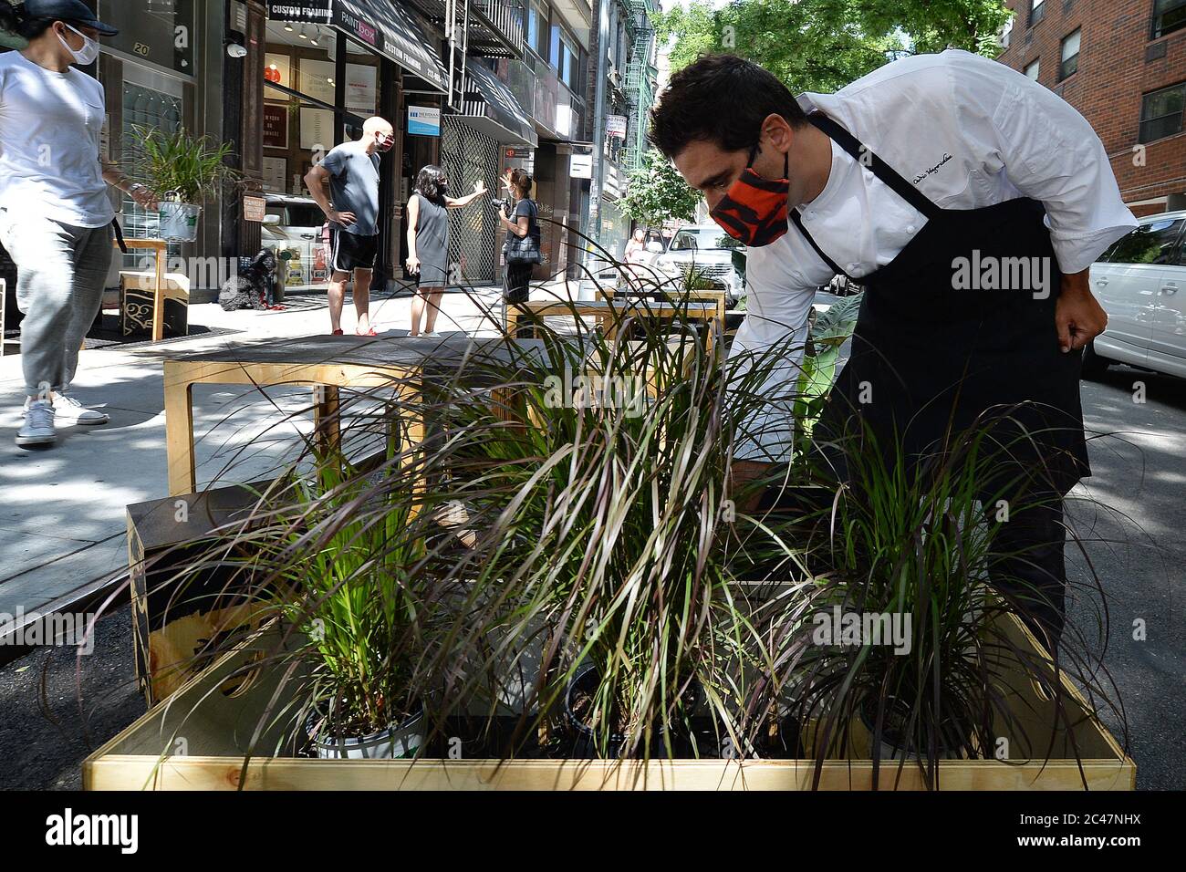 Wayan restaurant owner and chef Cédric Vongerichten arranges plants ...