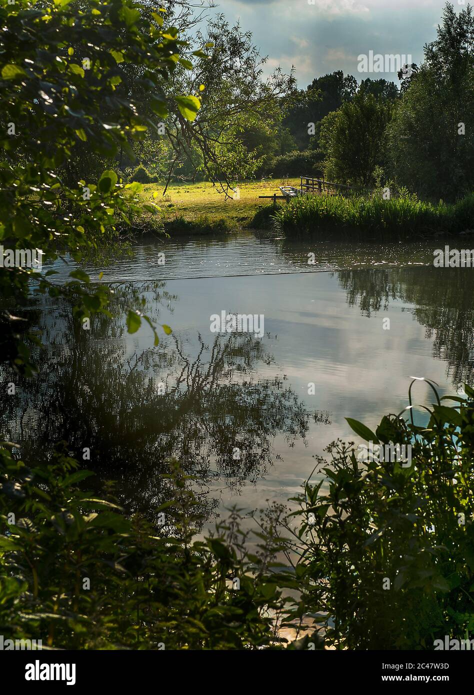 River Seen Through Bushes Looking Across to Fields Stock Photo - Alamy