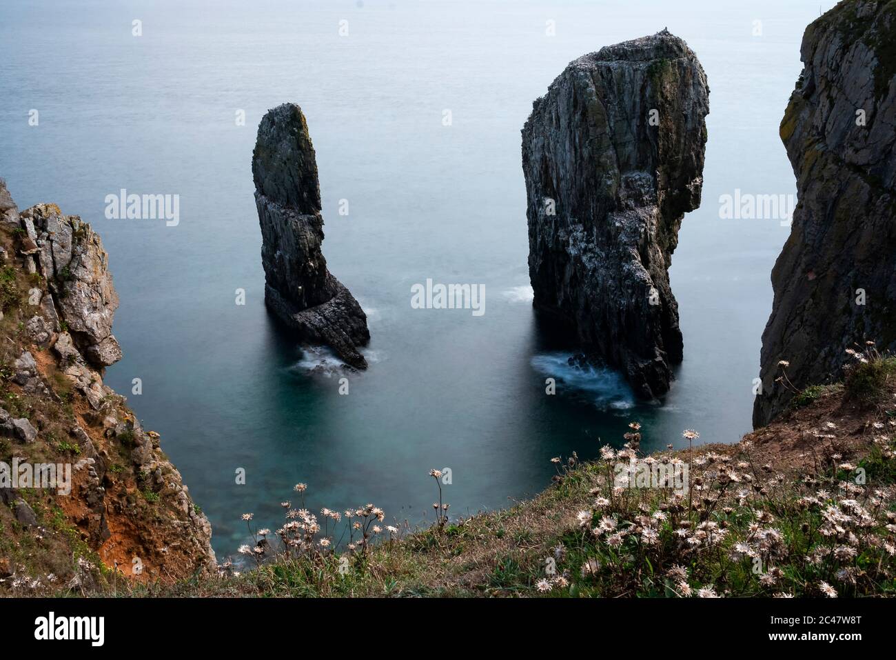 Castlemartin pembrokeshire hi-res stock photography and images - Alamy