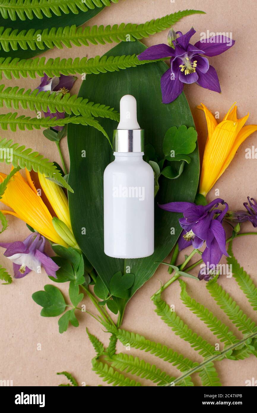 Herbal medicine packaging hi-res stock photography and images - Alamy