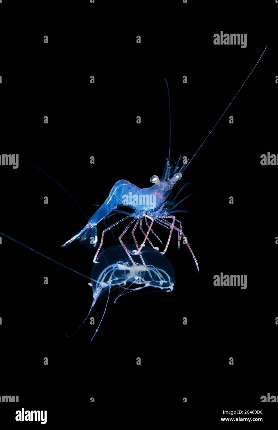 30 feet of water hi-res stock photography and images - Alamy