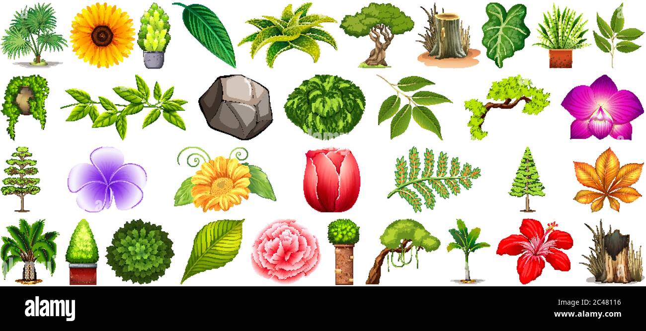 Set of different nature isolated on white background illustration Stock ...