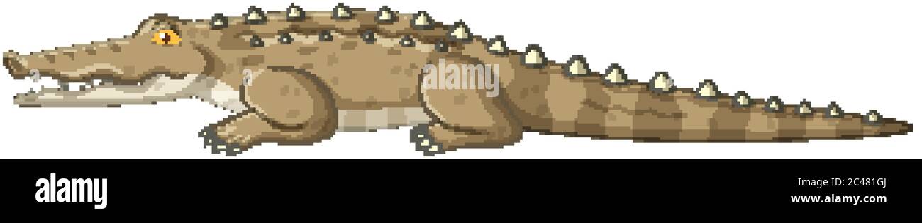 Alligator cartoon character isolated on white background illustration ...