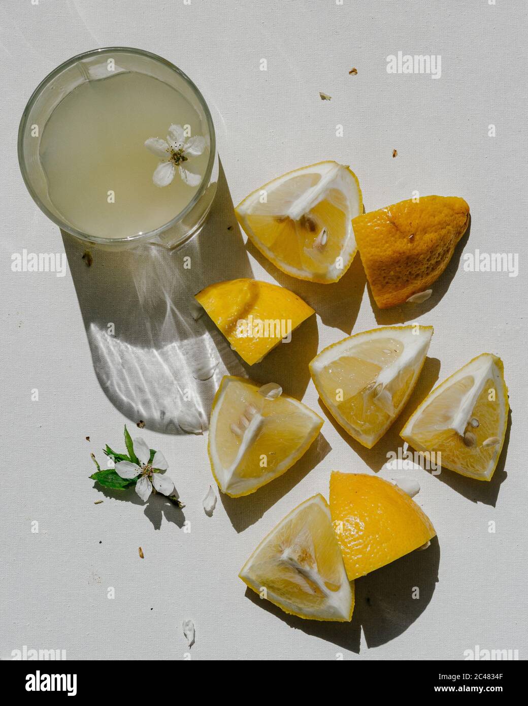 Overhead vertical shot of slices of lemon with lemonade on a white ...