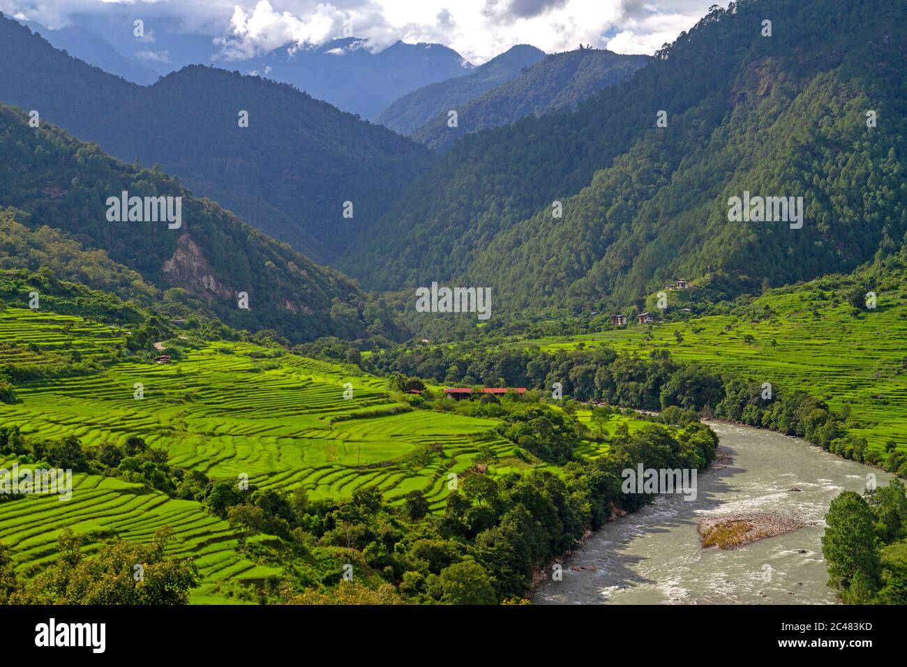 The Mo Chhu River flowing through Punakha Stock Photo - Alamy