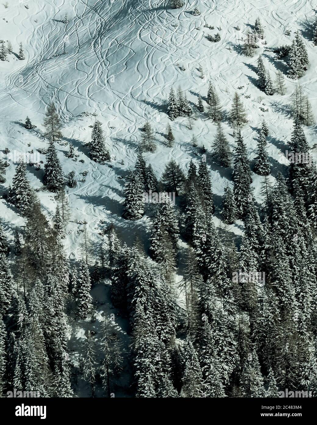 Vertical shot frozen autumn hi-res stock photography and images - Alamy