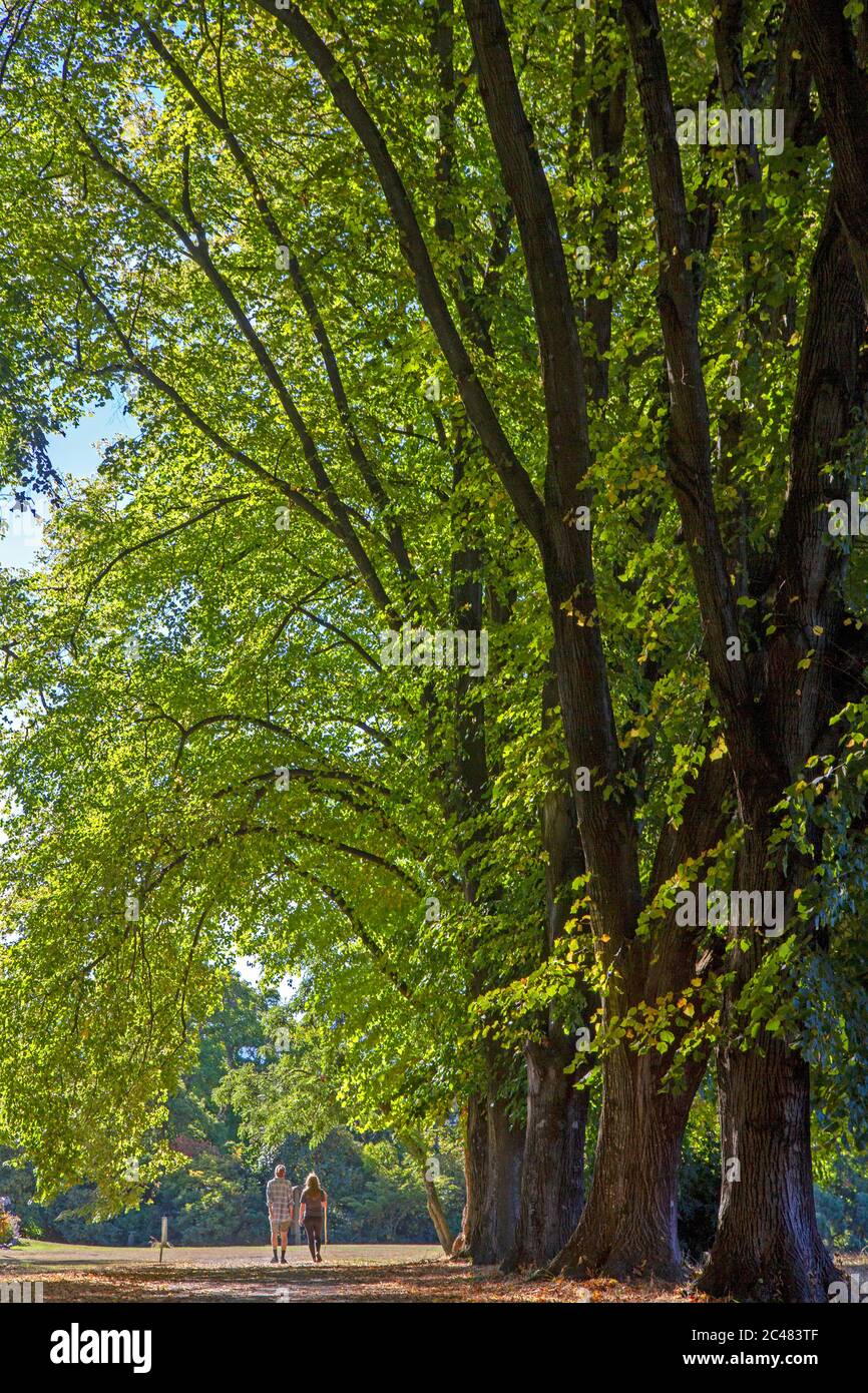Wanaka station hi-res stock photography and images - Alamy