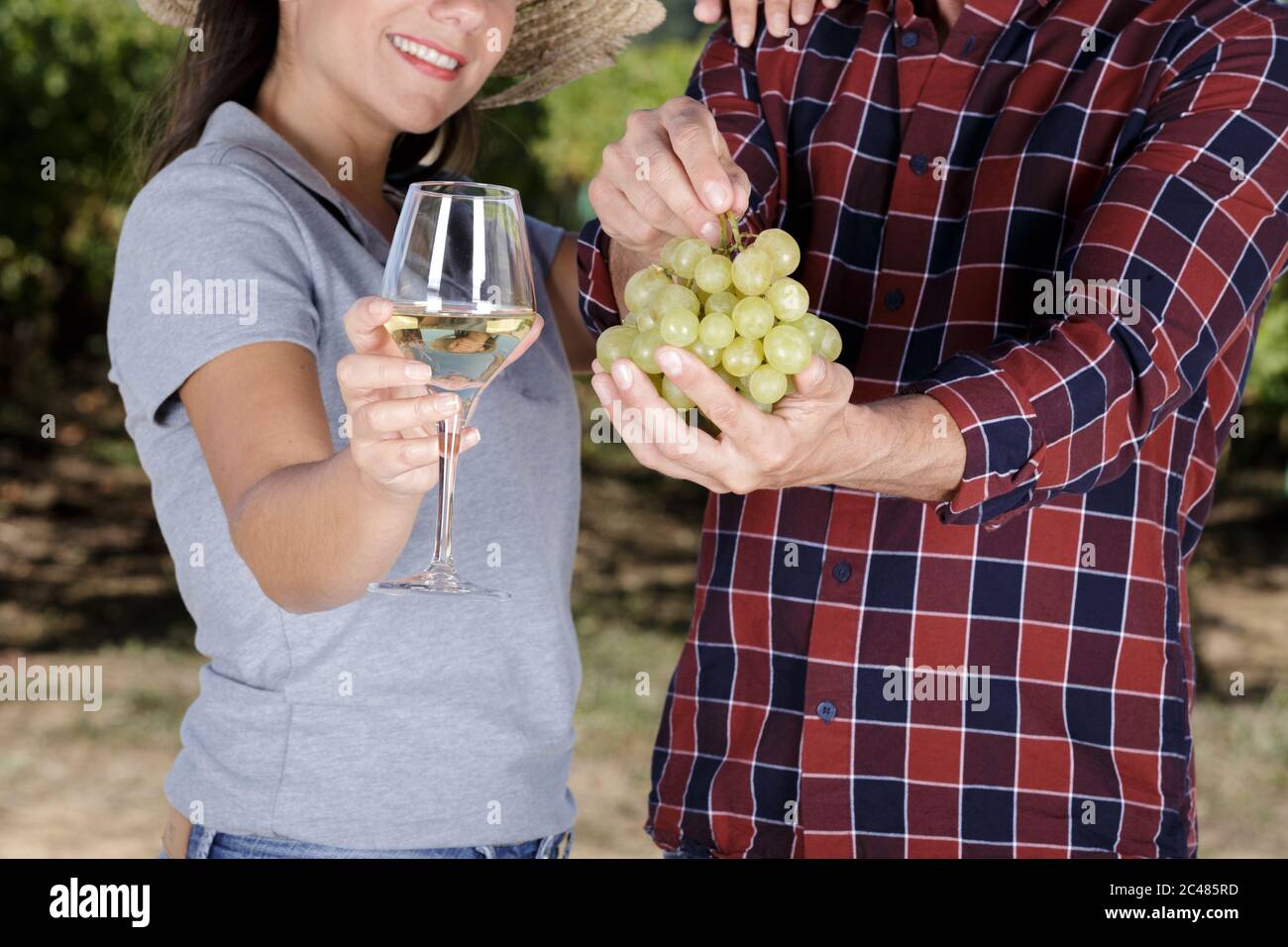 Two mountain winery hi-res stock photography and images - Alamy