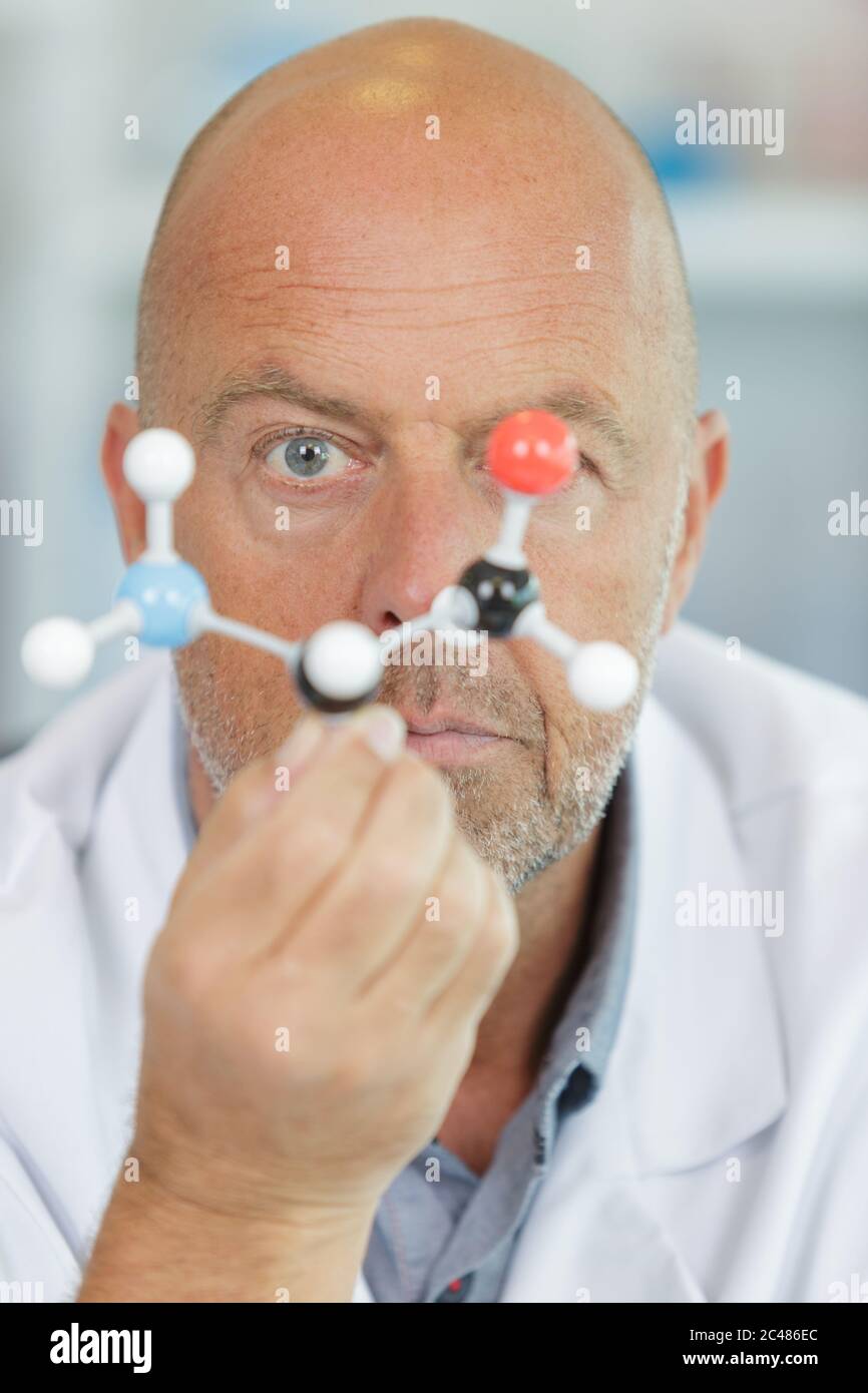 Doctor showing anatomical spine hi-res stock photography and images - Alamy