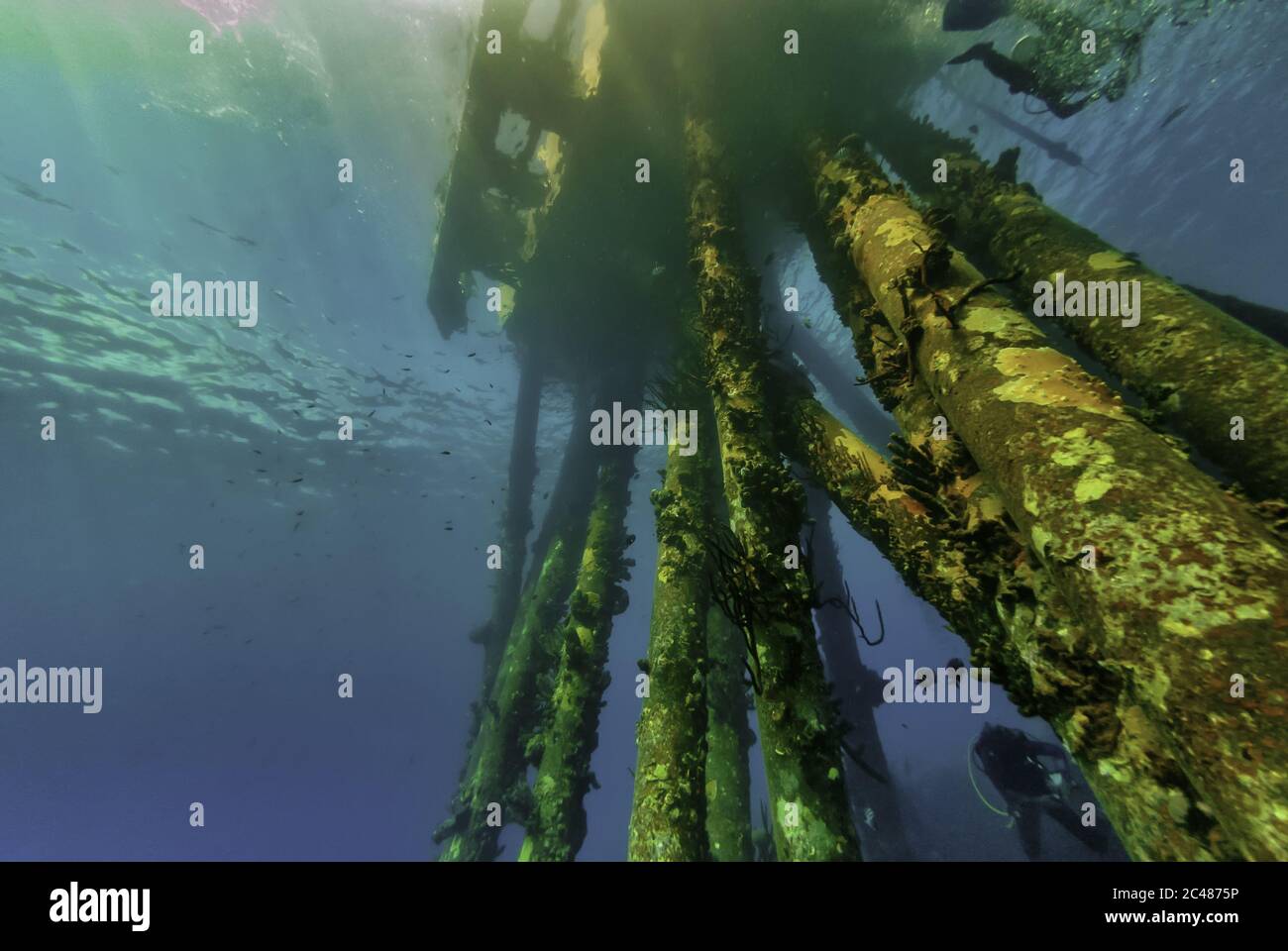 Underwater view of a saltwater pier Stock Photo - Alamy