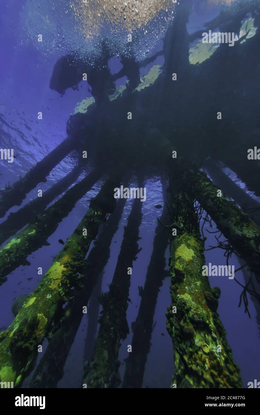 Underwater view of a saltwater pier Stock Photo - Alamy