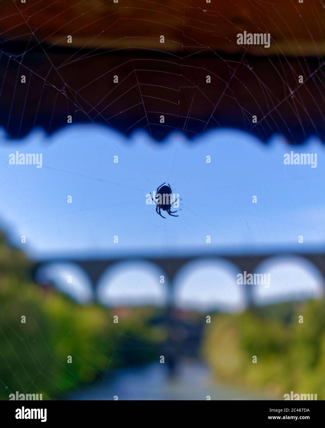 Spider web under roof hi-res stock photography and images - Alamy