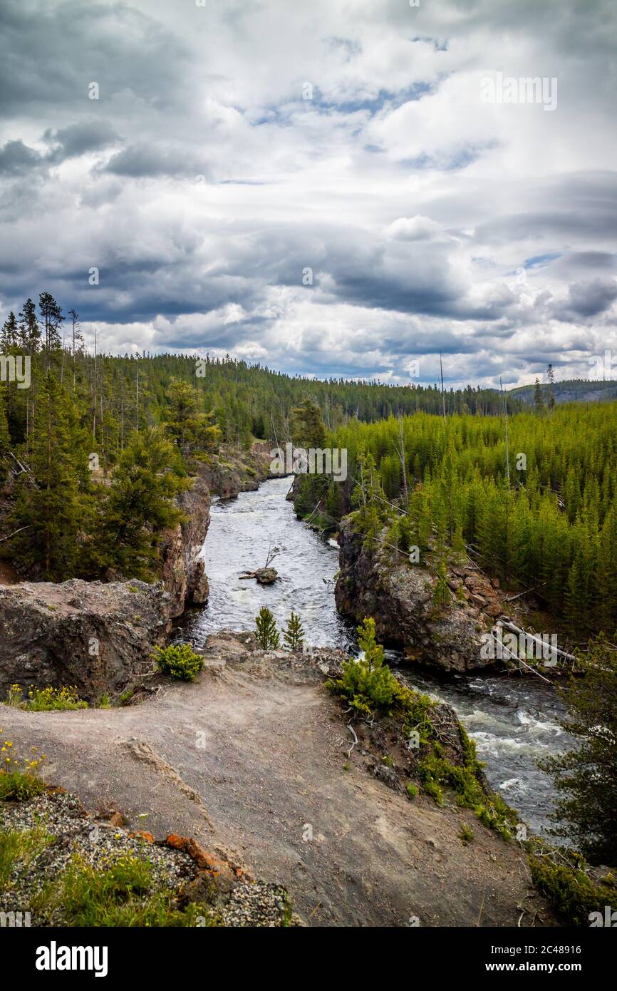 A narrow stream of water in Yellowstone National Park, Wyoming Stock ...