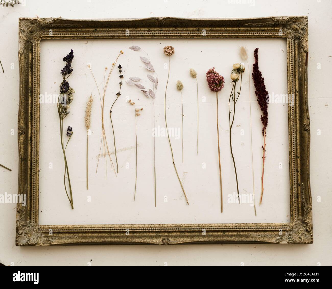 Gold frame flowers hi-res stock photography and images - Alamy