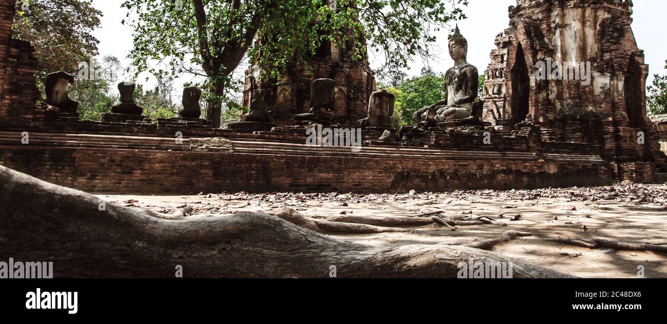 Buddha decay , THAILAND Ruins and Antiques at the Ayutthaya Historical ...