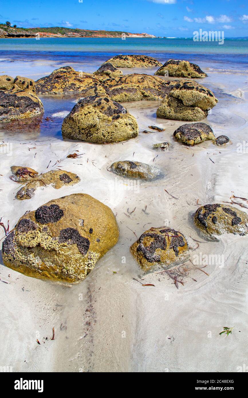 Flinders bay hi-res stock photography and images - Alamy