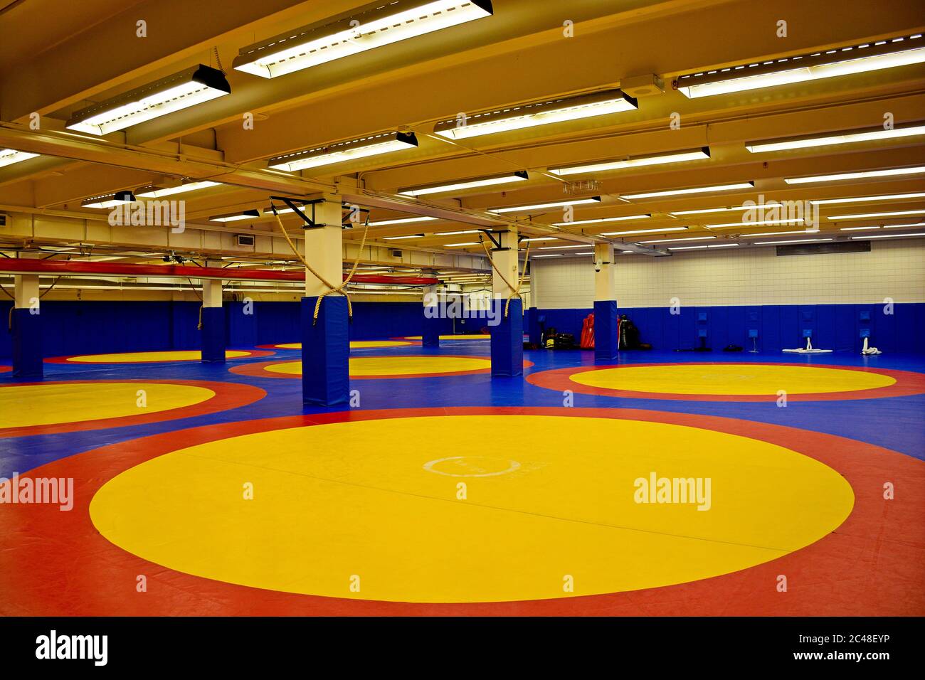 Low angle shot of an empty judo hall Stock Photo - Alamy