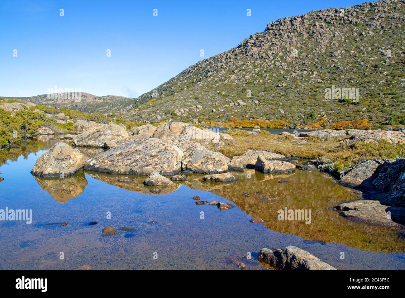 Johnston Tarn on the Tarn Shelf in Mt Field National Park Stock Photo ...