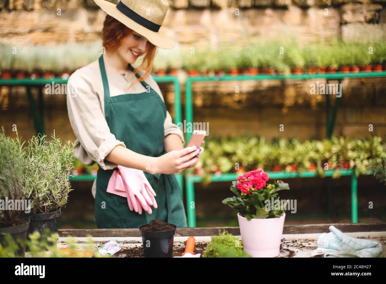 Young pretty florist in apron and hat standing and taking photos of ...