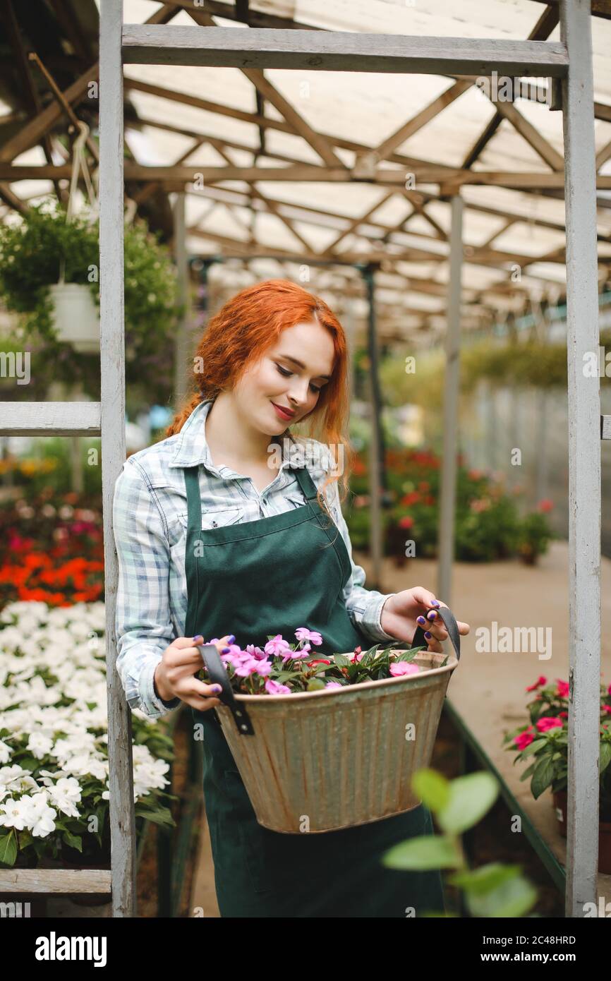 Beautiful florist in apron standing with metal basket with flowers in ...