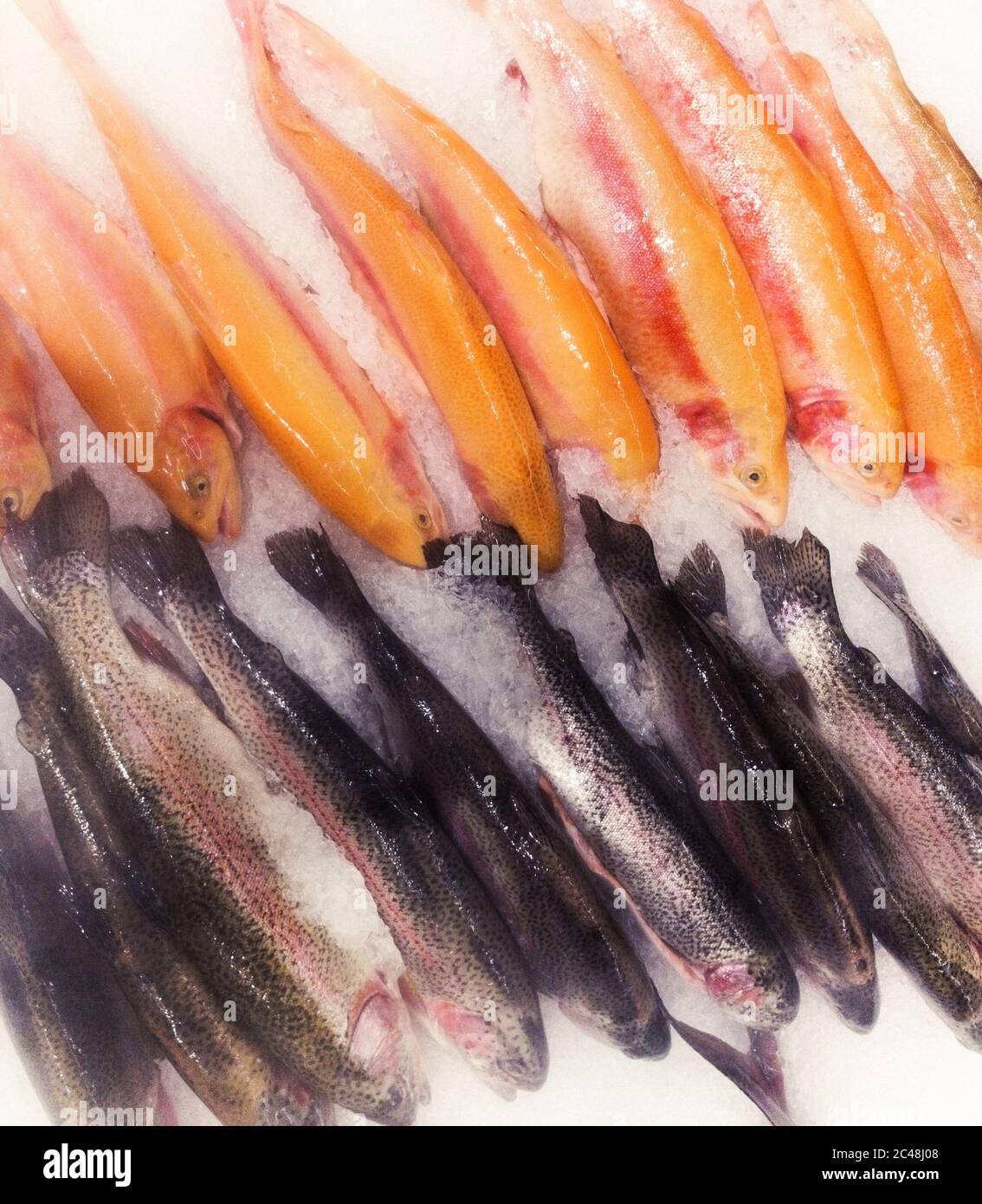 fresh fish on market shelf Stock Photo - Alamy
