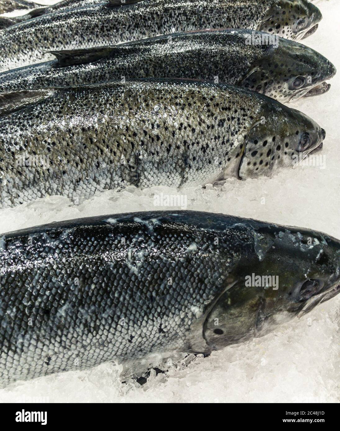 Big supermarket foods hi-res stock photography and images - Alamy