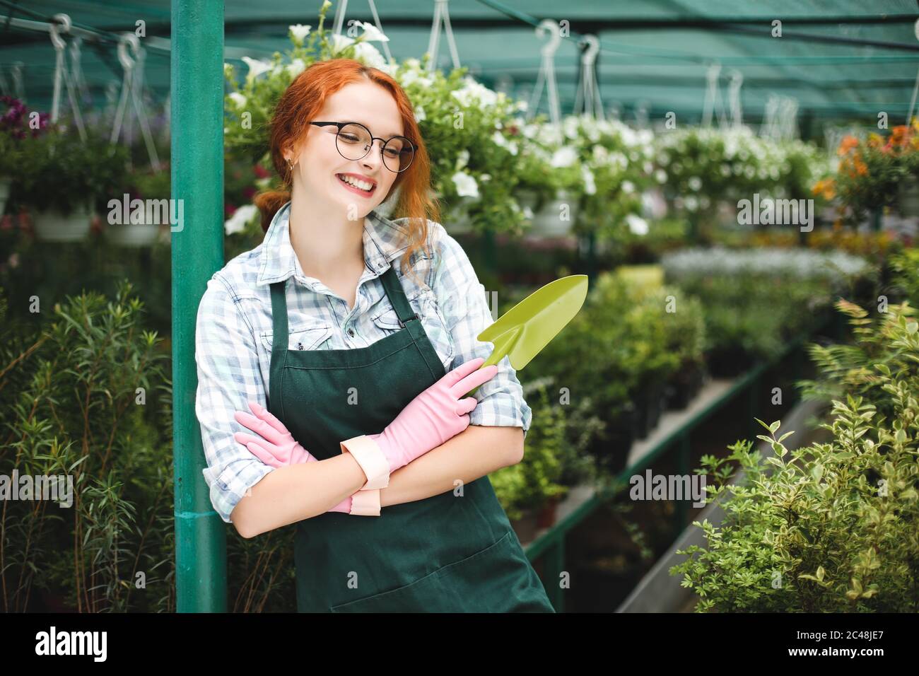 Joyful florist in apron and pink gloves standing with little garden ...
