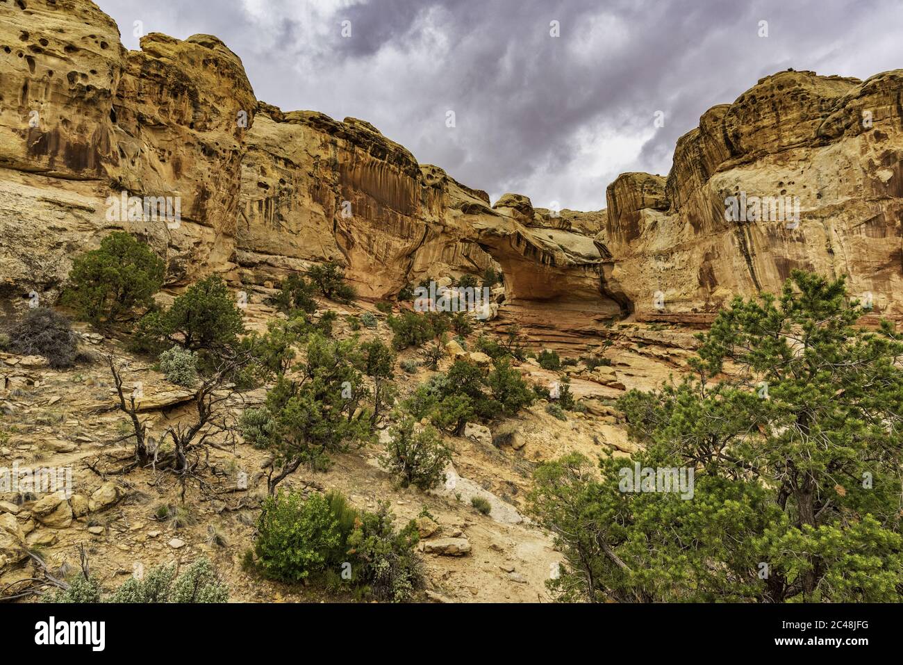 Hickman Bridge in Capital Reef National Park Stock Photo - Alamy