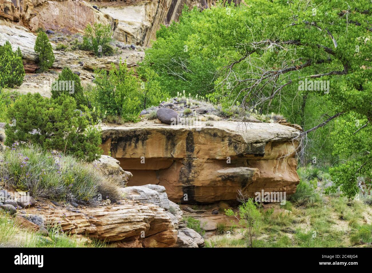 Rock cairn marking the trail to Hickman Bridge in the Capitol Reef ...