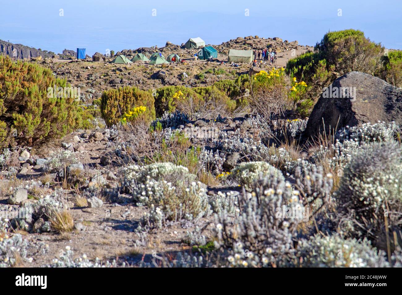 Barranco Camp on Mt Kilimanjaro Stock Photo - Alamy
