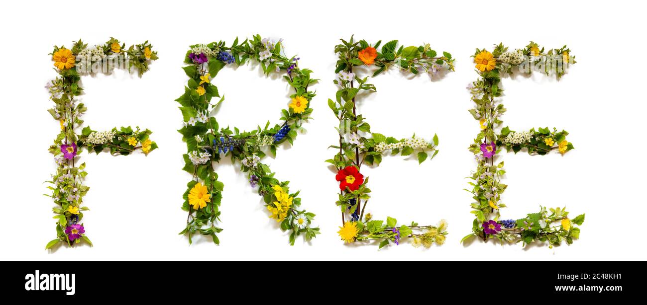 Flower And Blossom Letter Building Word Free Stock Photo - Alamy