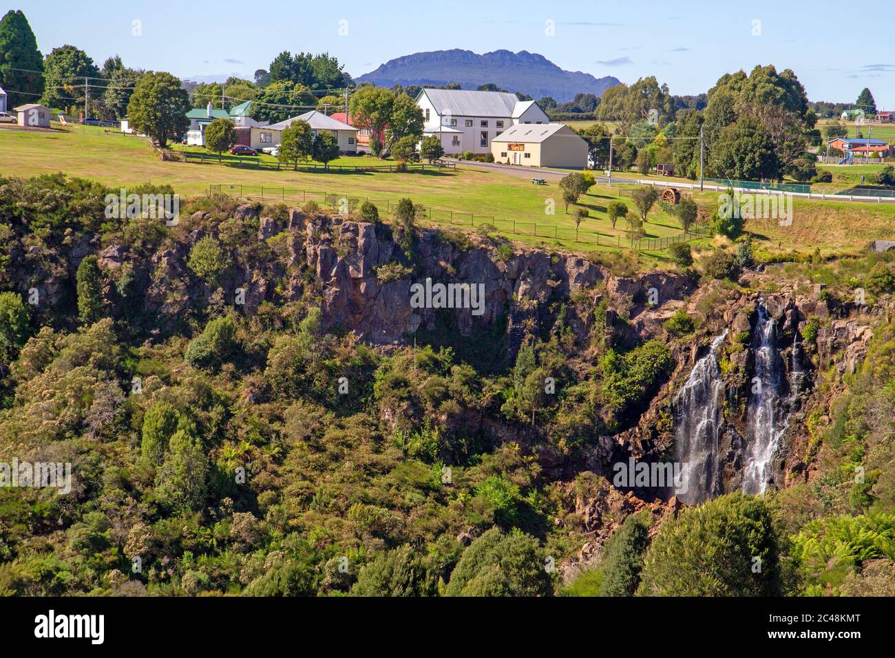 Waratah hi-res stock photography and images - Alamy