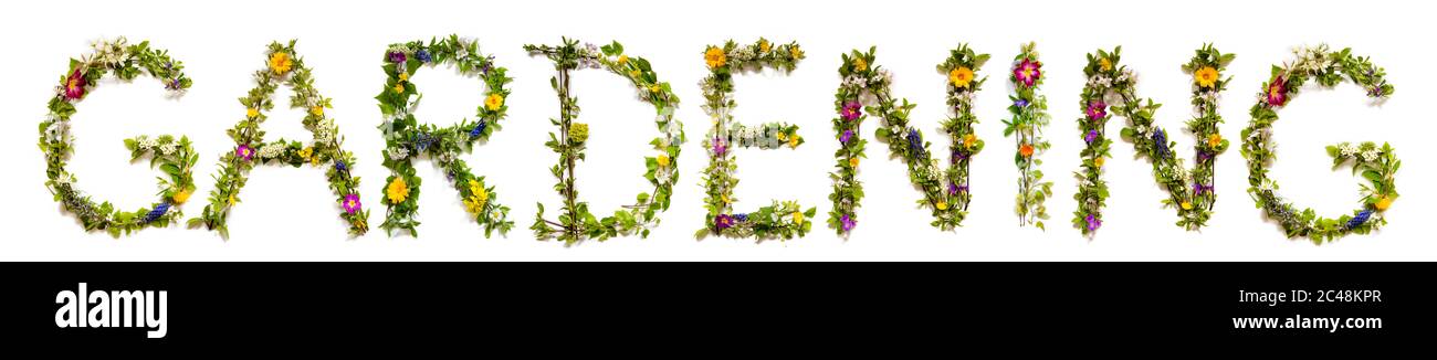 Flower And Blossom Letter Building Word Gardening Stock Photo - Alamy
