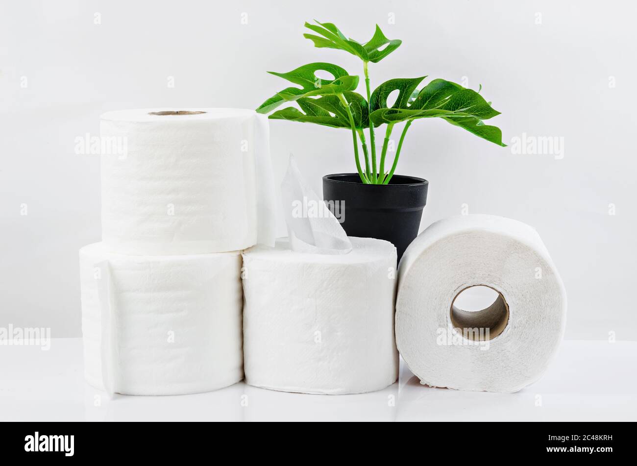 Tissue paper rolls and green leaves on white background Stock Photo - Alamy