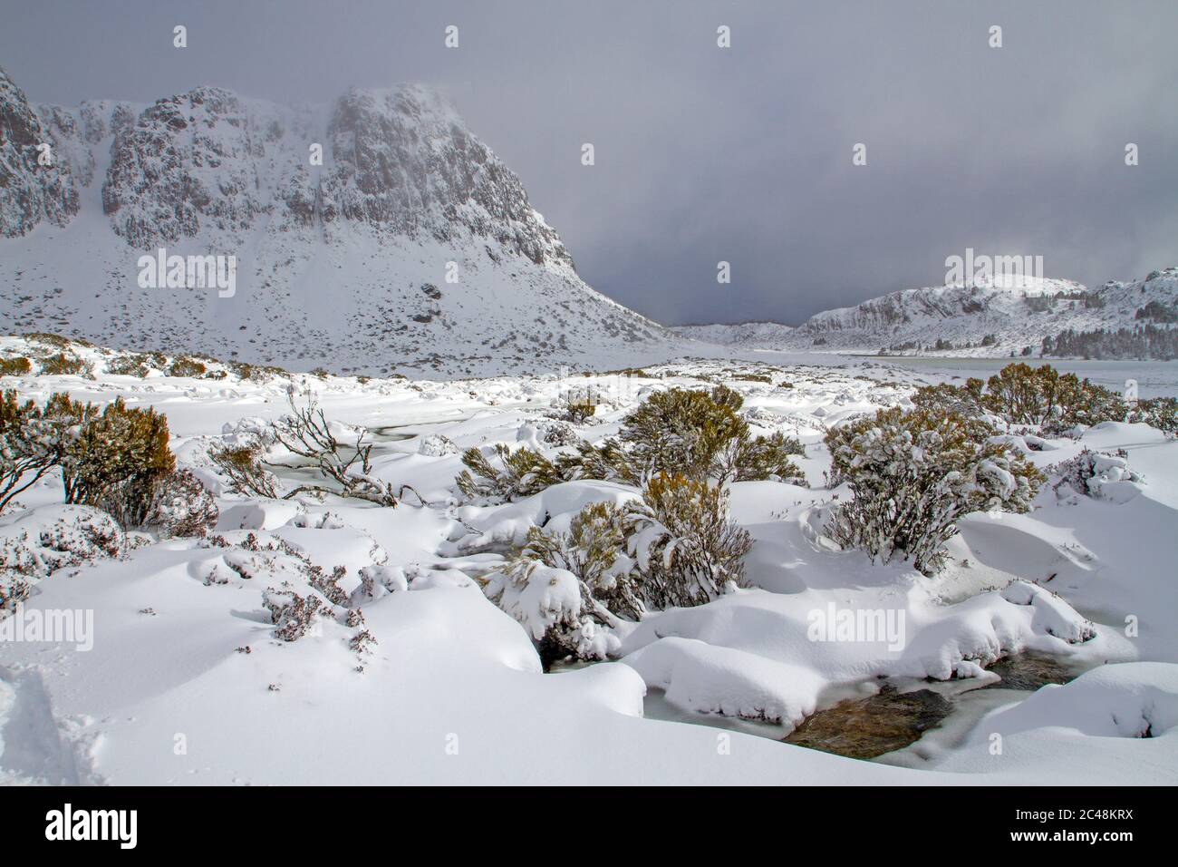 Winter in Walls of Jerusalem National Park Stock Photo - Alamy
